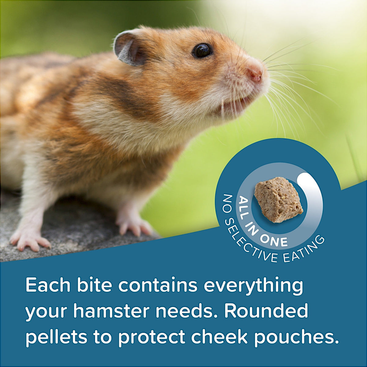 Beaphar Care+ Hamster - complete food with omega 3 & 6 for health– The ...