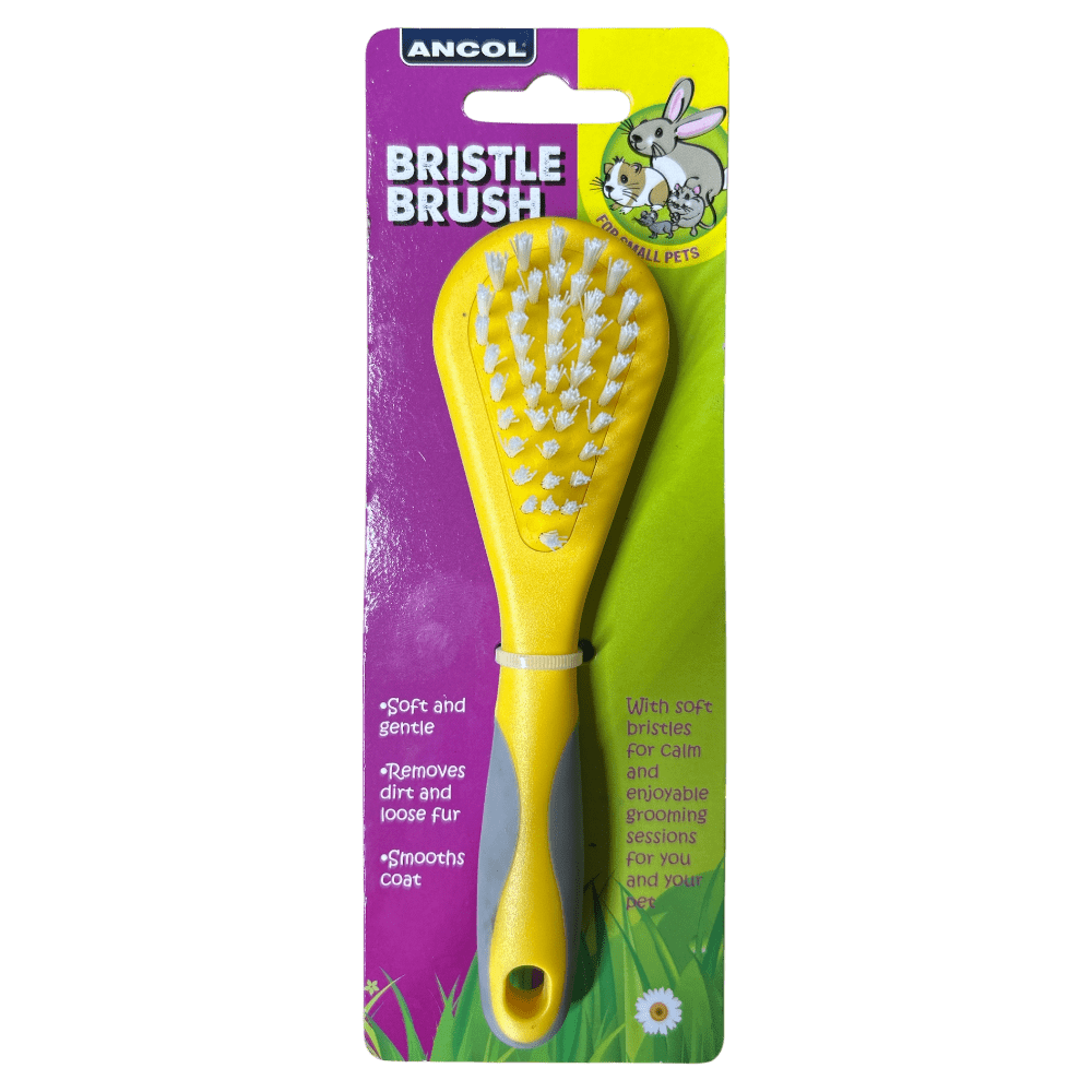 Bristle Brush | Wellbeing | The Hay Experts