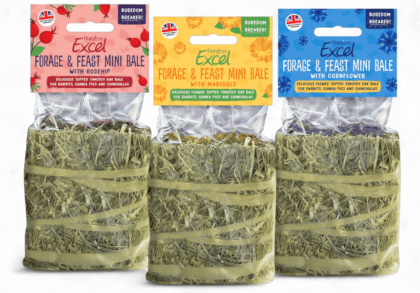Excel Forage & Feast Mini Bale Bundle - Save 10%– The Hay Experts