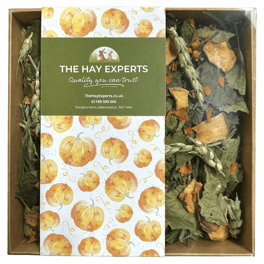 The Hay Experts Feast of Autumn Grazing Tray: Seasonal natural forage ...