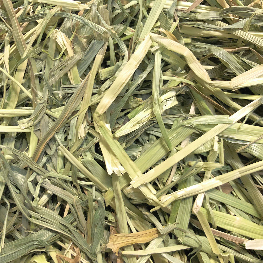 Burgess - Excel Timothy Hay Box 4.5kg | The Hay Experts