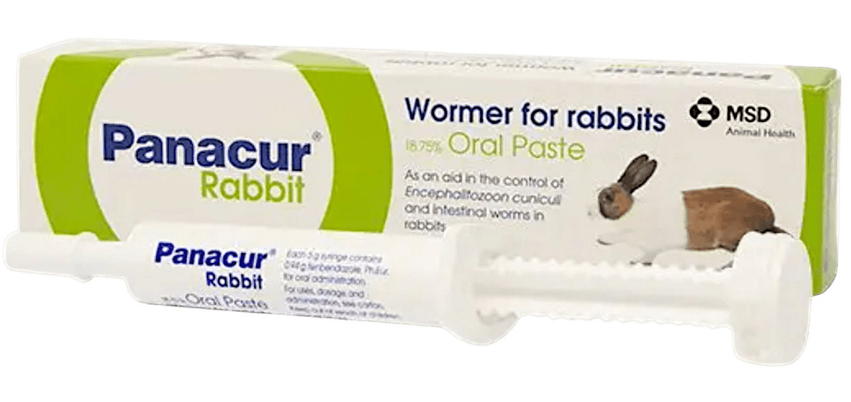 MSD Panacur Paste for Rabbits - for treating worms & E Cuniculi– The ...