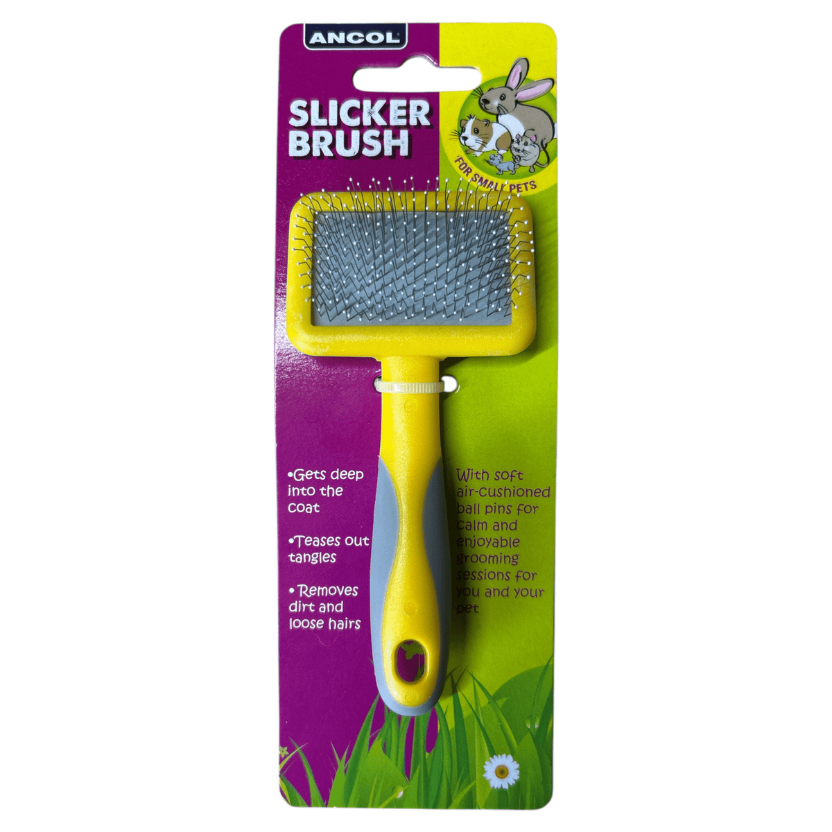 Slicker Brush | Health & Hygiene | The Hay Experts
