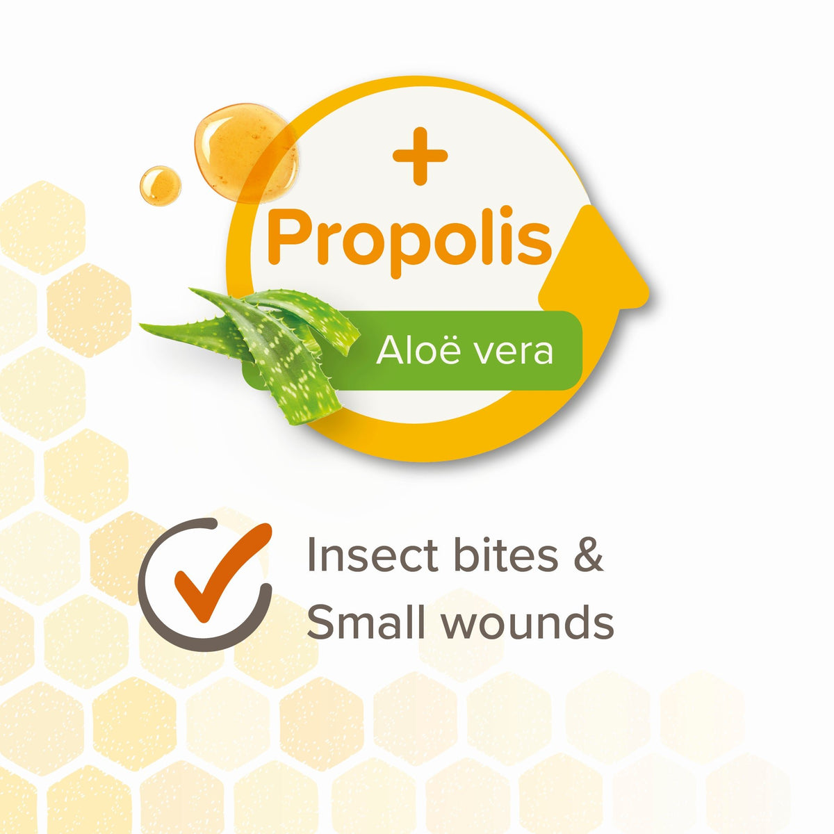 Beaphar - Wound Spray | Health & Wellbeing | The Hay Experts