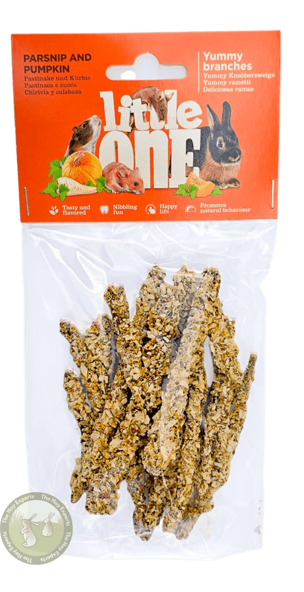Little One Yummy Branches - Parsnip & Pumpkin natural gnaw sticks– The ...